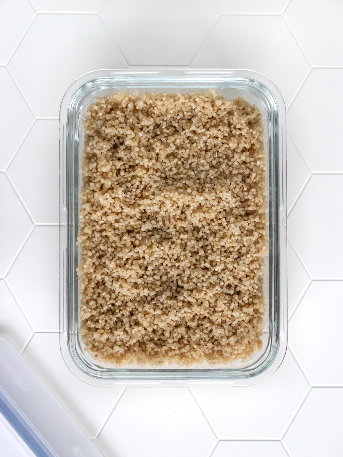 Como Fazer Quinoa Cozida Soltinha | PLANTTE