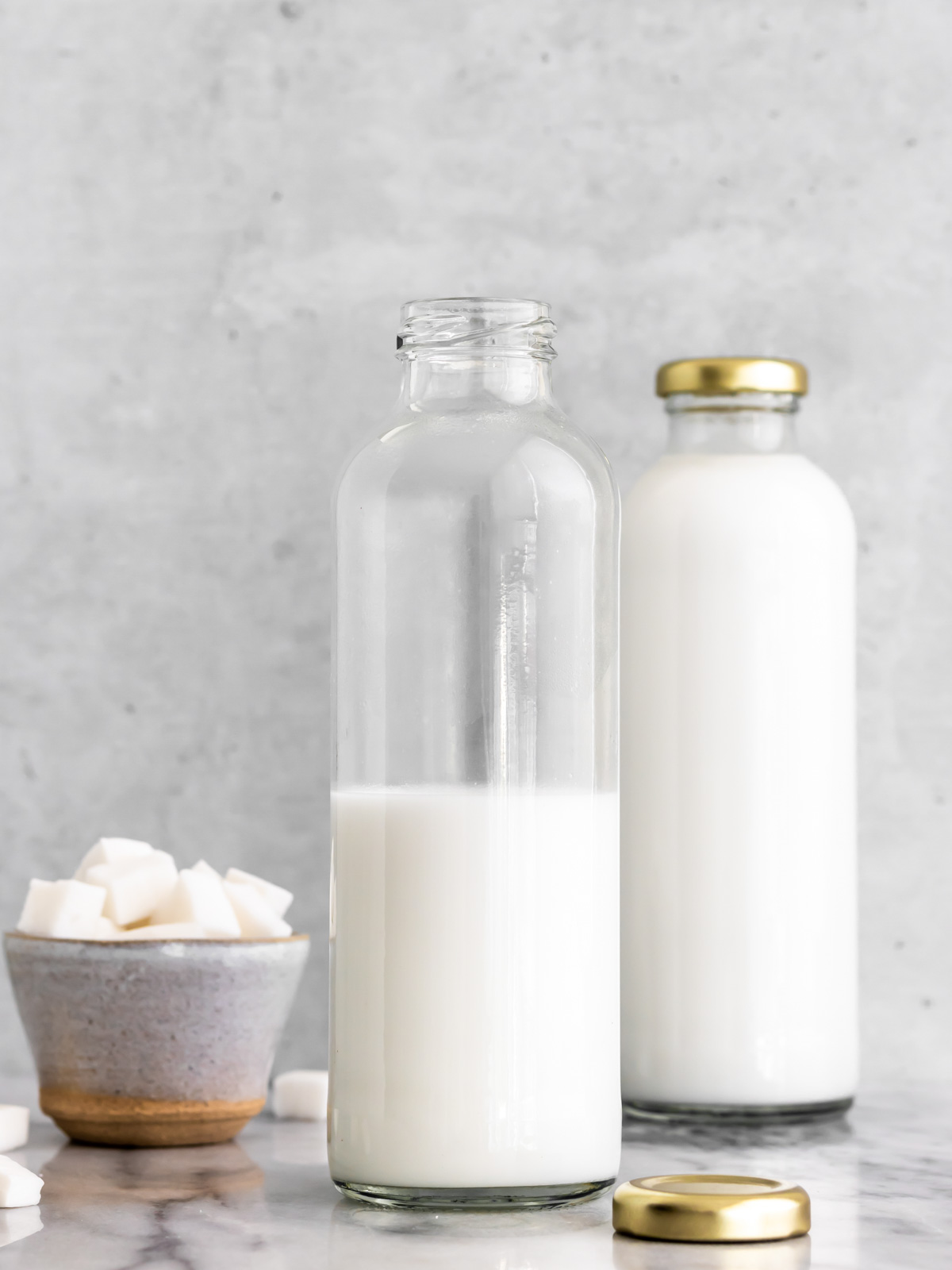 Como Fazer Leite de Coco Caseiro (4 maneiras) | Plantte