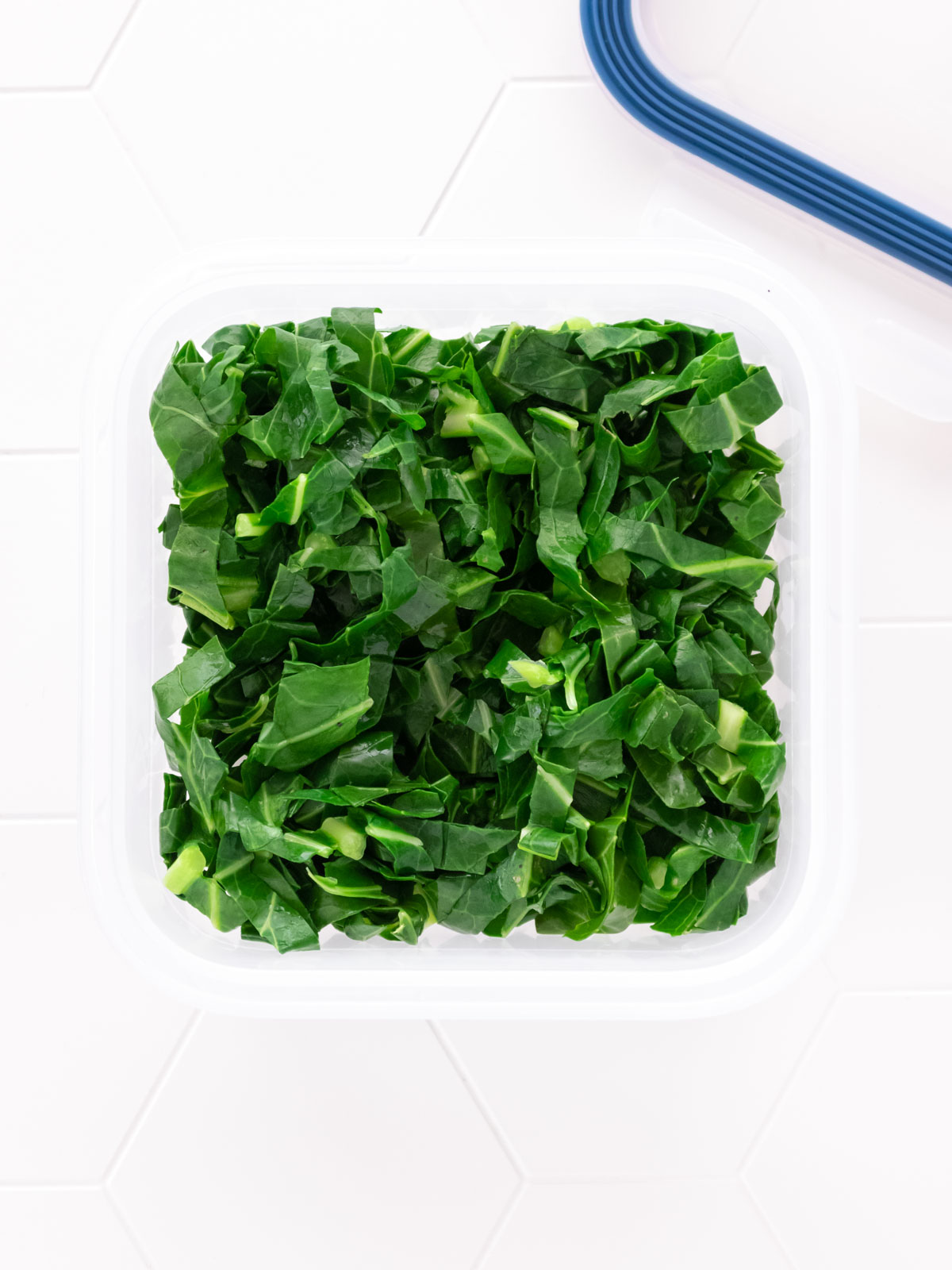 Como Conservar Couve na Geladeira (Picada ou Inteira) | Plantte